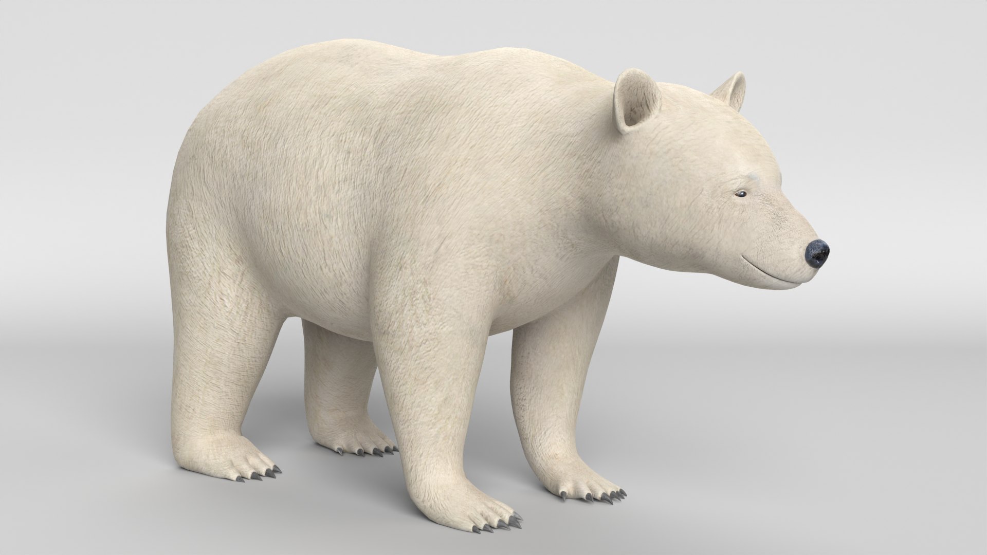 3D Model Polar Bear - TurboSquid 2060410
