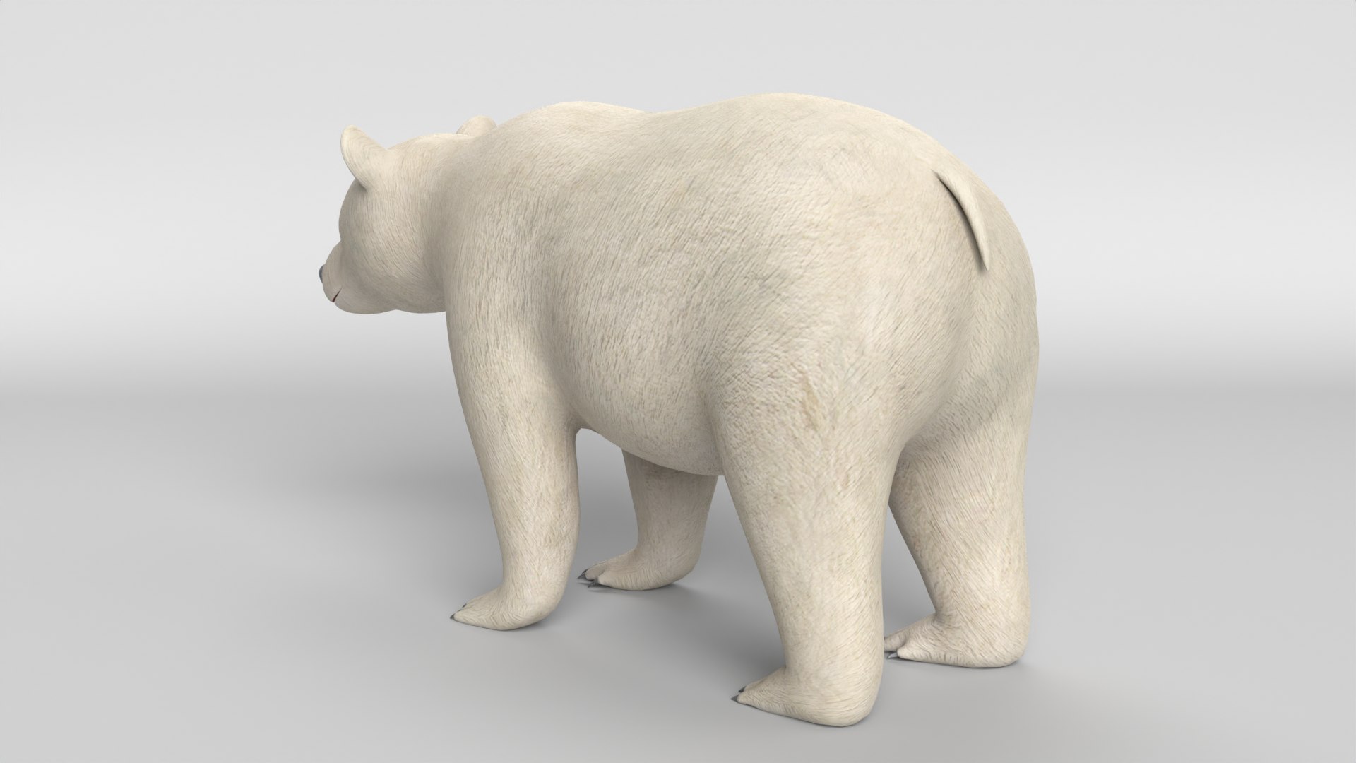3D Model Polar Bear - TurboSquid 2060410