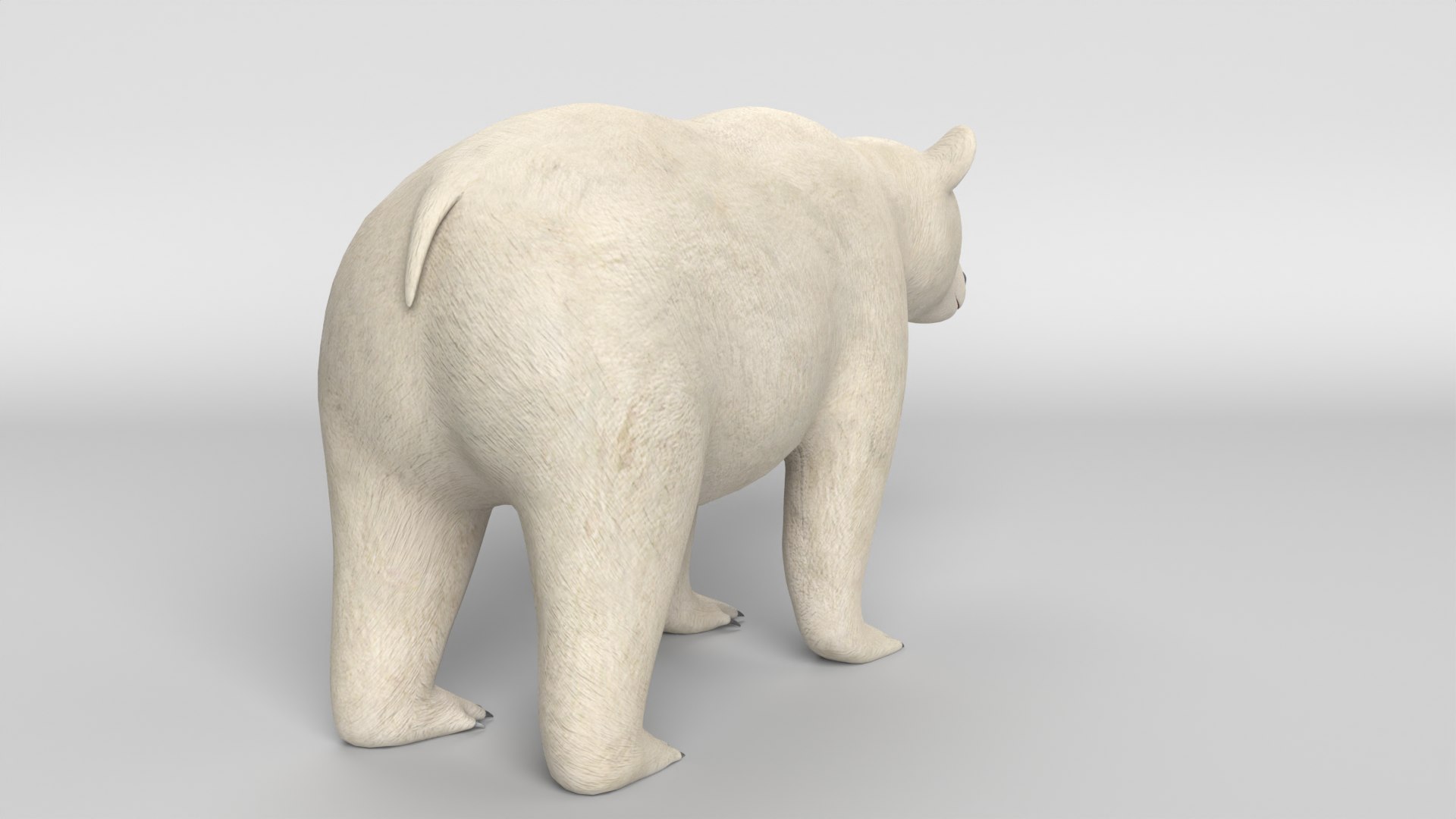 3D Model Polar Bear - TurboSquid 2060410