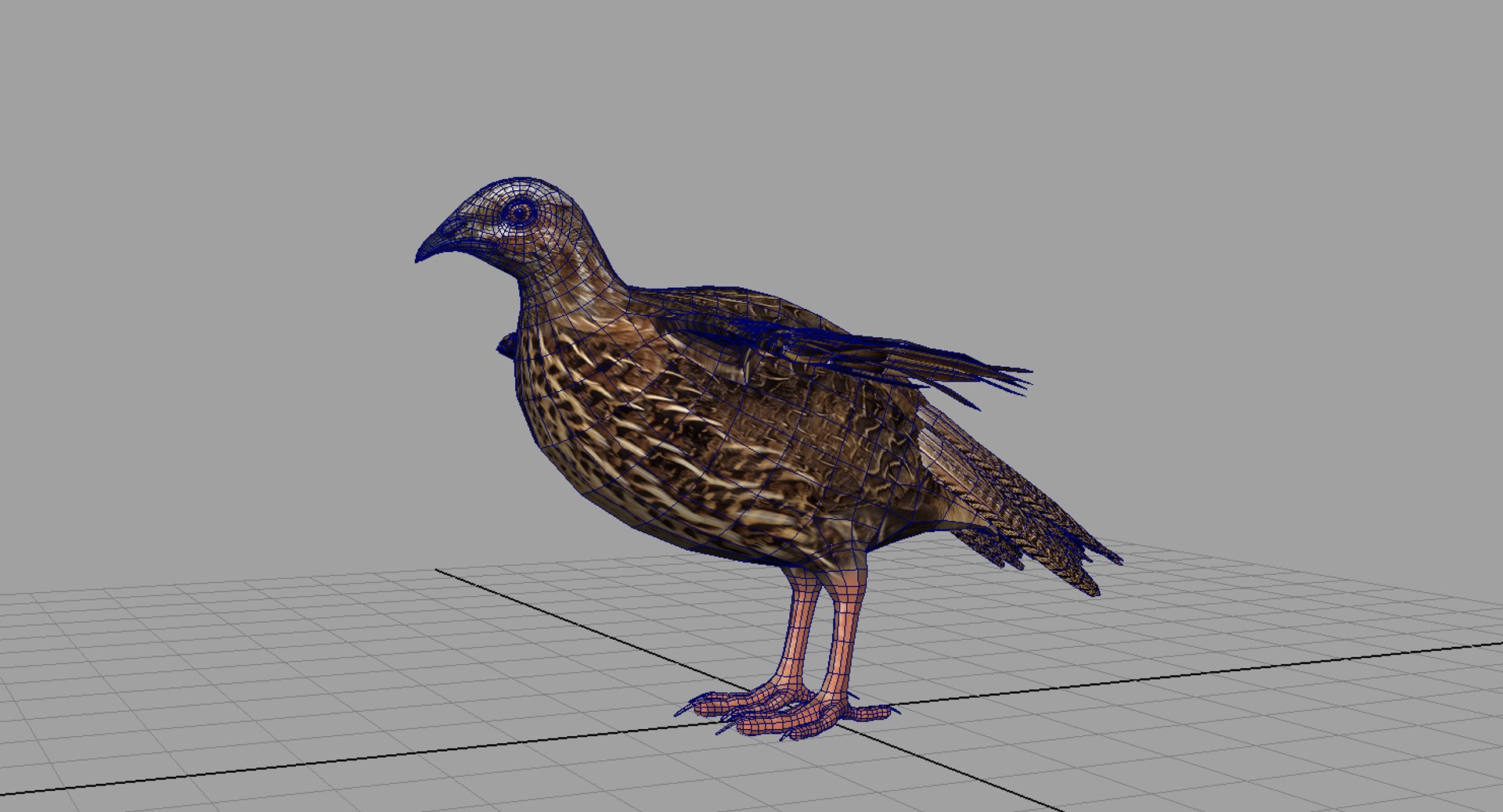 3D Model Quail Bird - TurboSquid 1542023