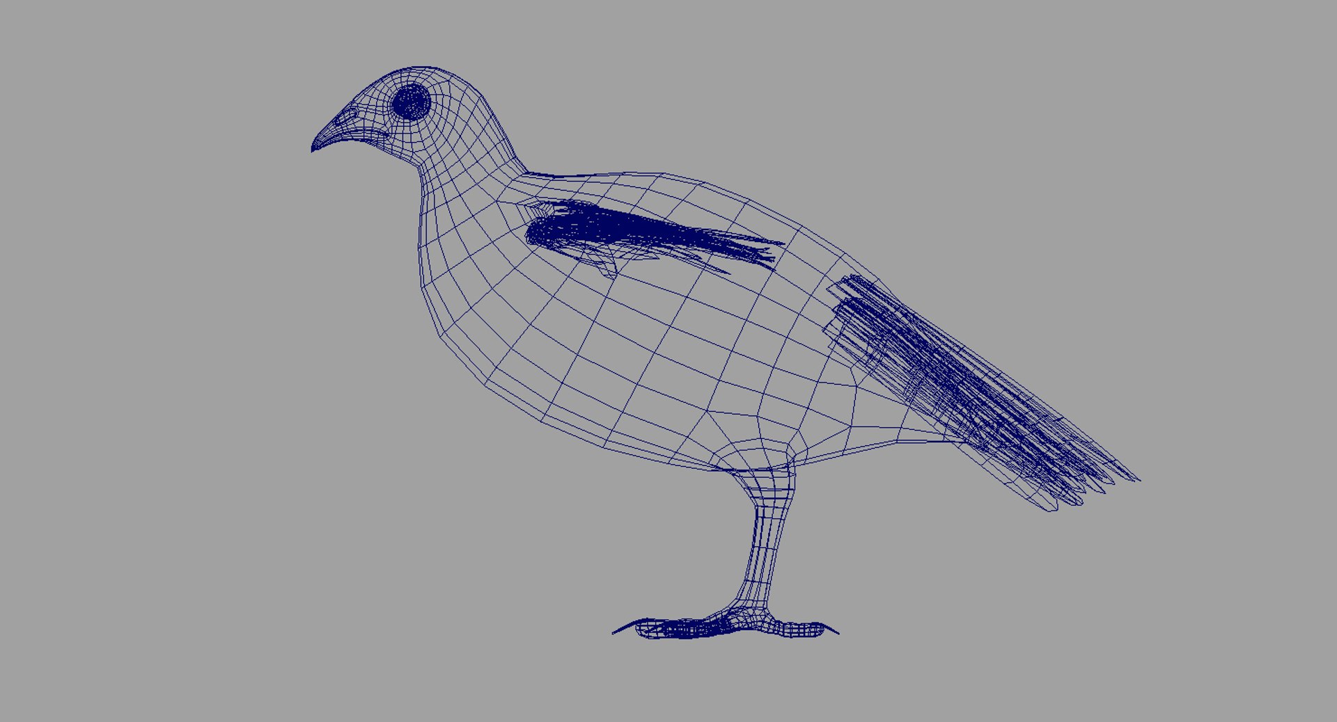 3D Model Quail Bird - TurboSquid 1542023
