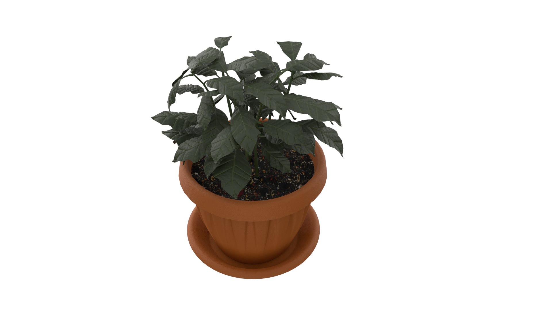 Coffee tree PBR model 3D - TurboSquid 1785205