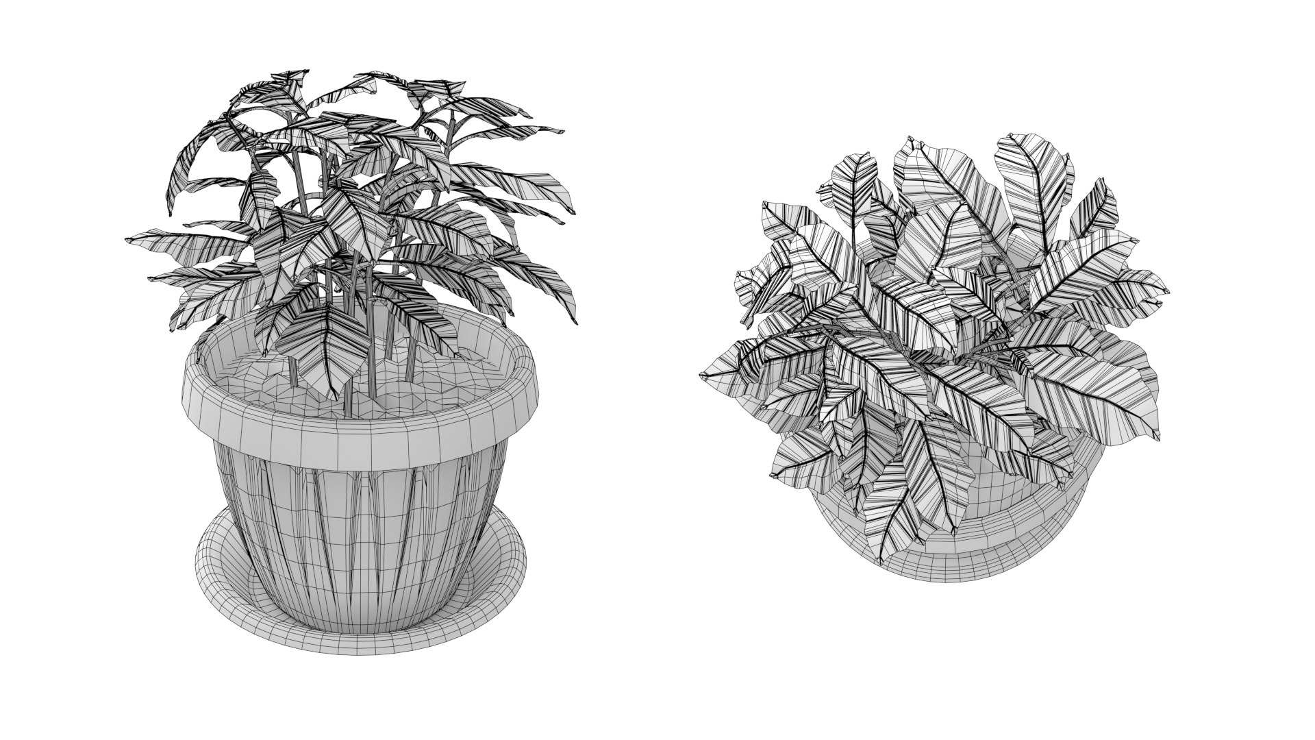 Coffee tree PBR model 3D - TurboSquid 1785205