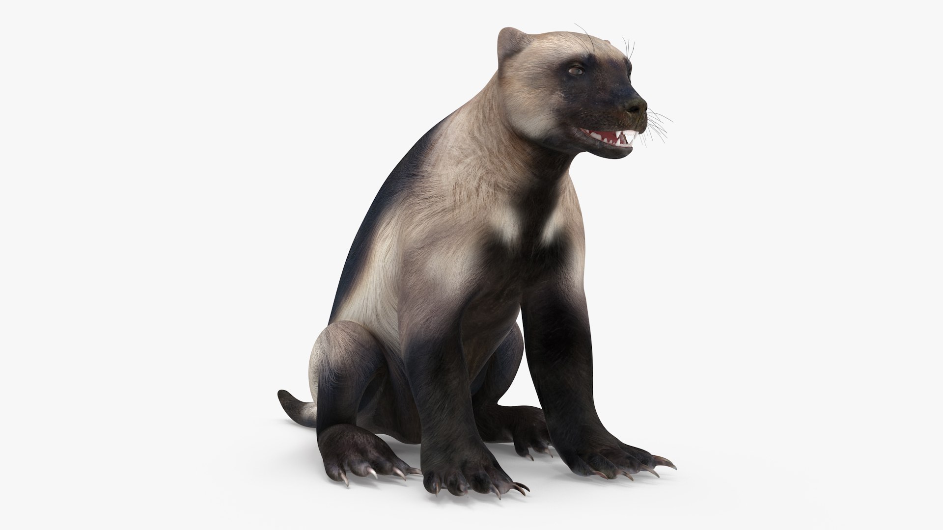 Wolverine Light Color Sitting Pose Model - TurboSquid 2130576