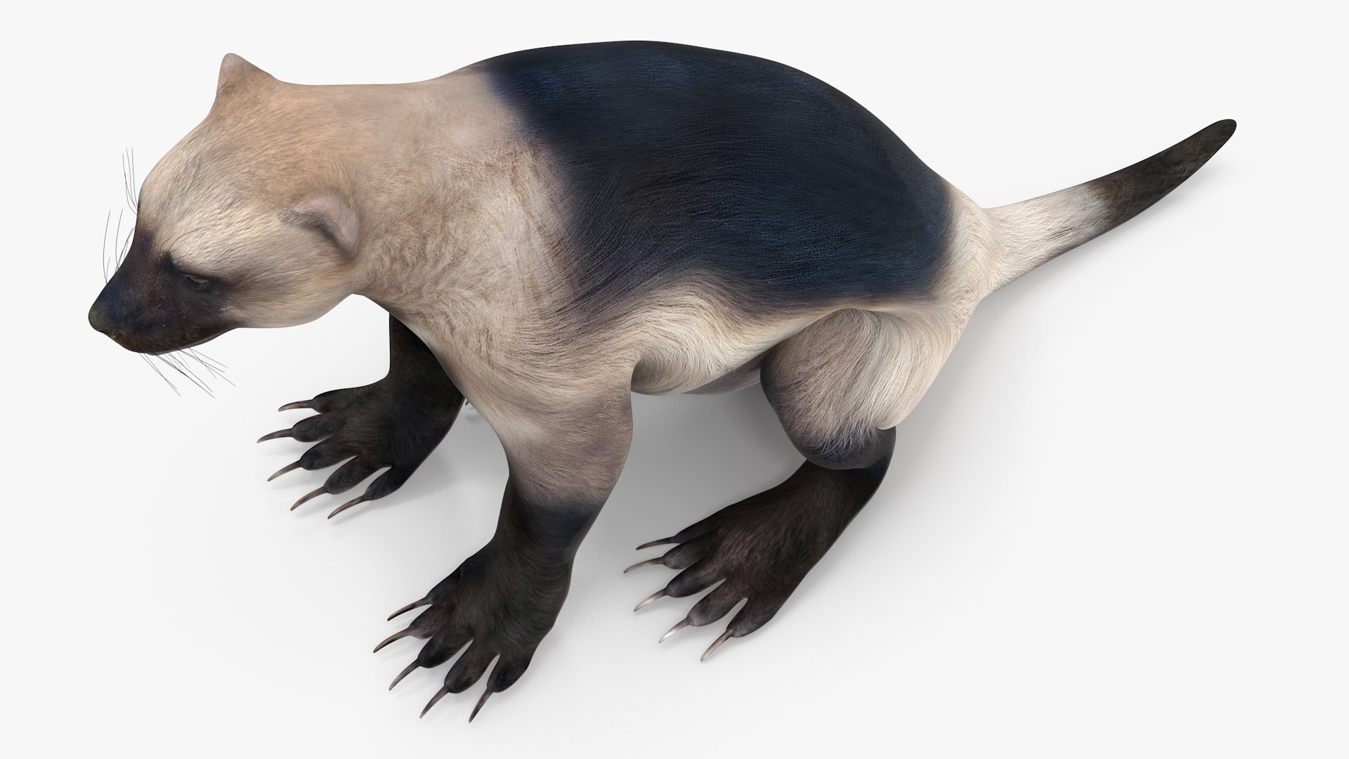 Wolverine Light Color Sitting Pose Model - TurboSquid 2130576