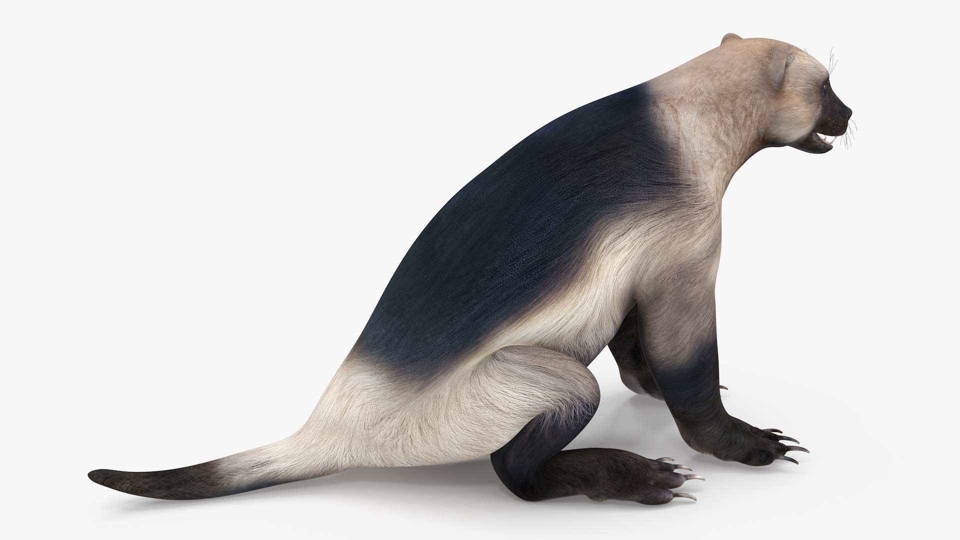 Wolverine Light Color Sitting Pose model - TurboSquid 2130576