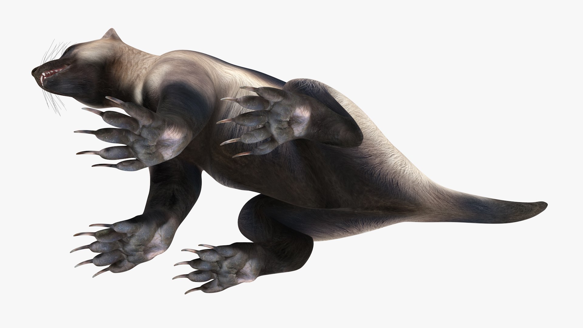 Wolverine Light Color Sitting Pose Model - TurboSquid 2130576