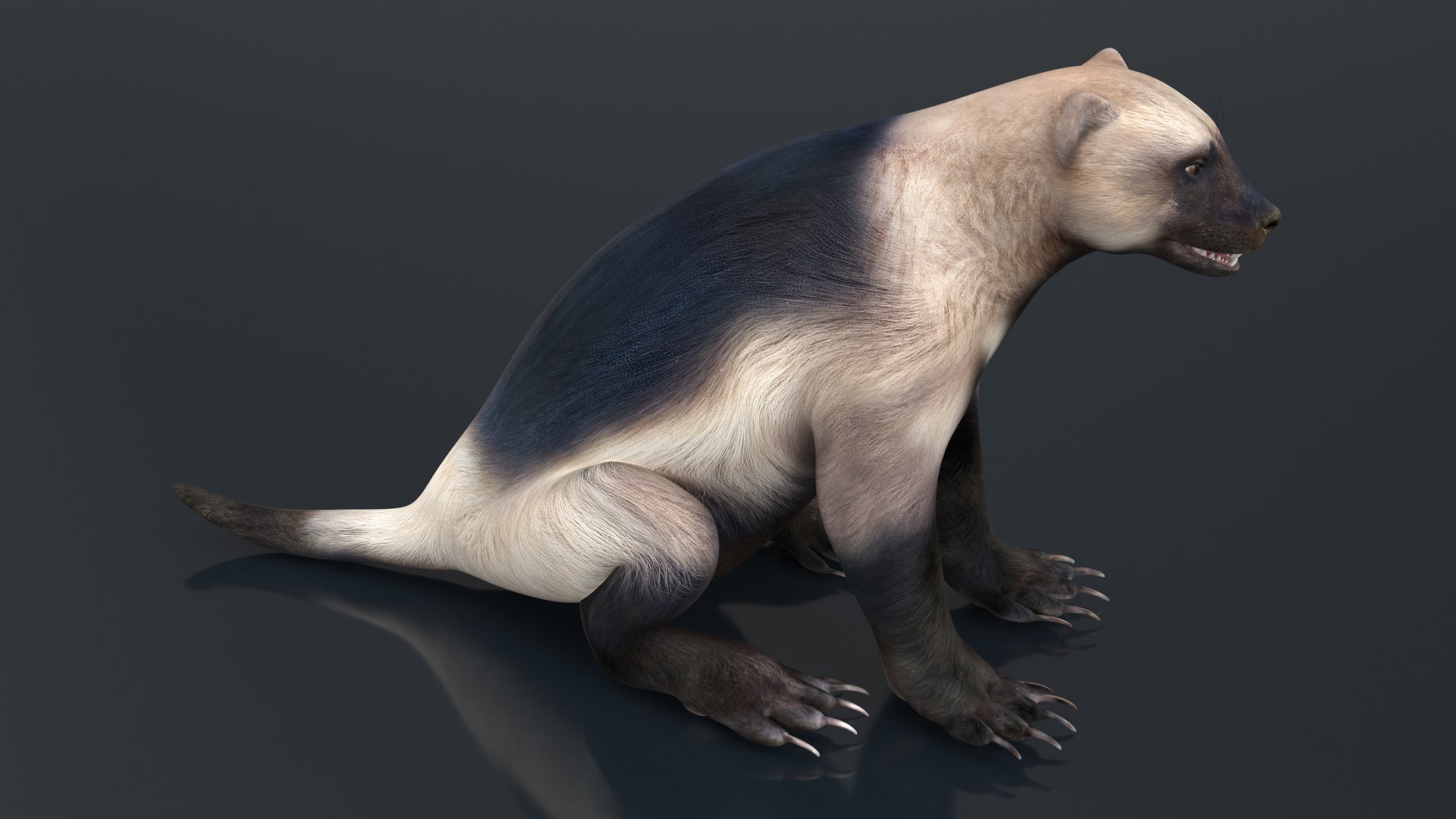 Wolverine Light Color Sitting Pose Model - TurboSquid 2130576