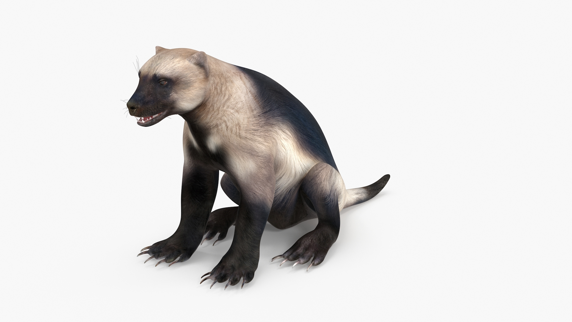 Wolverine Light Color Sitting Pose Model - TurboSquid 2130576