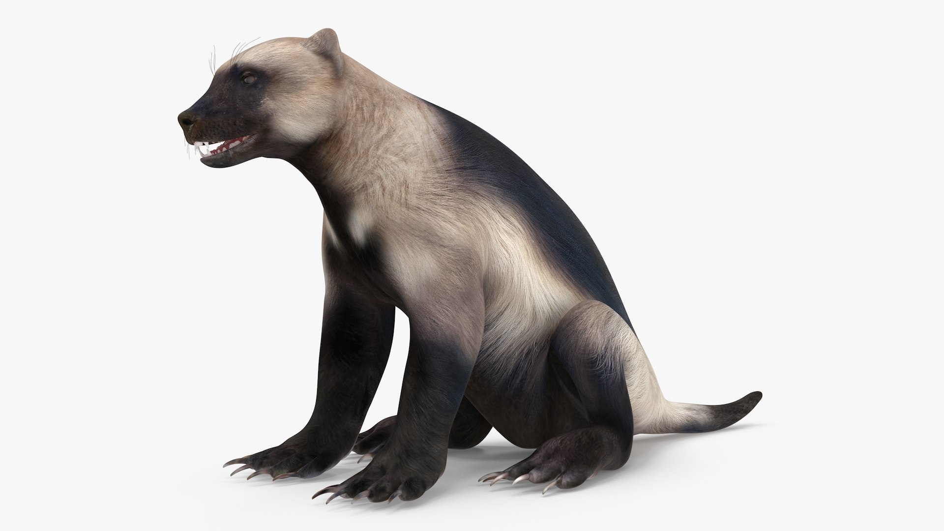 Wolverine Light Color Sitting Pose model - TurboSquid 2130576