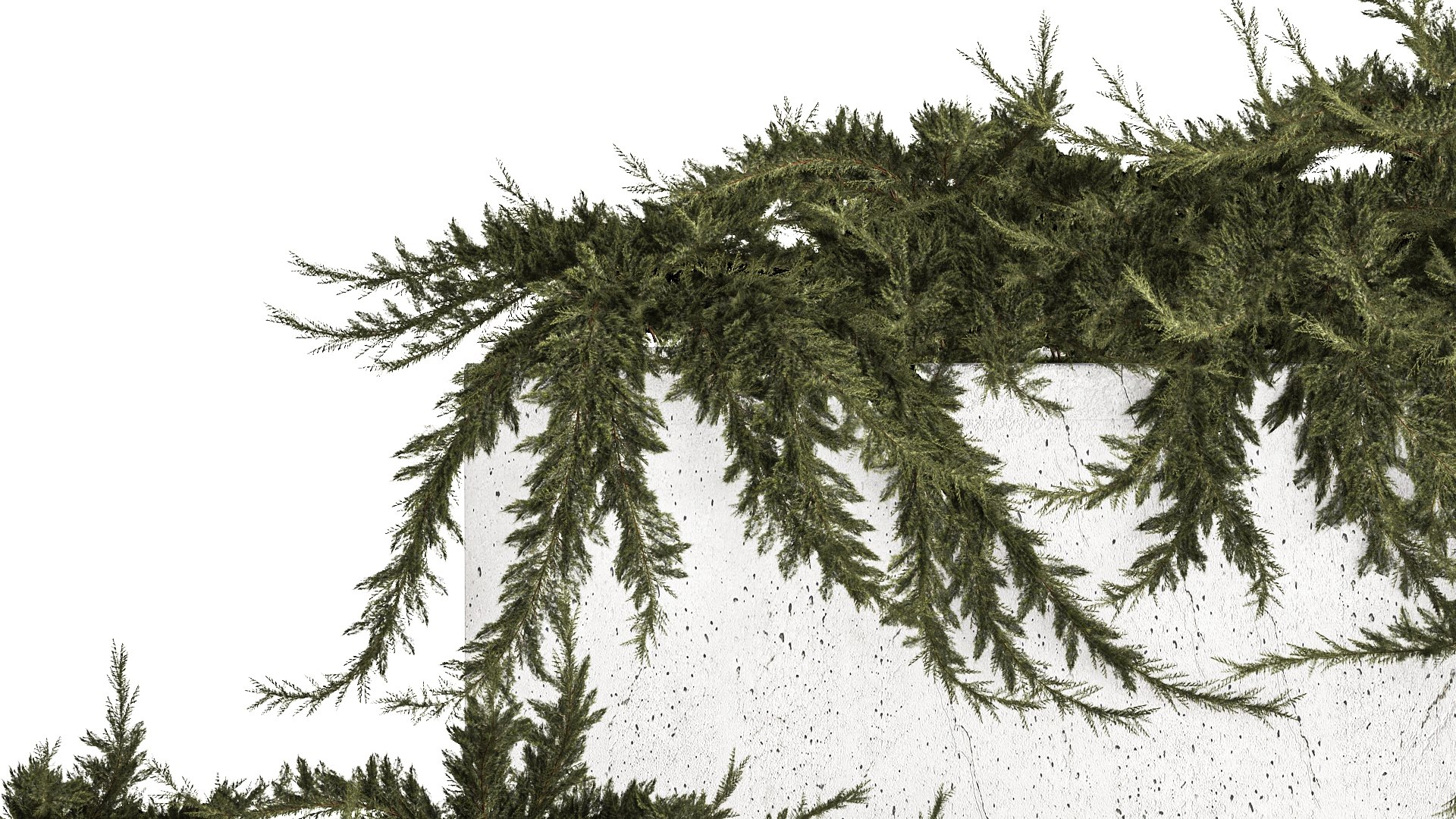 3D Cypress And Juniper For The Urban Environment 1172 - TurboSquid 2010861