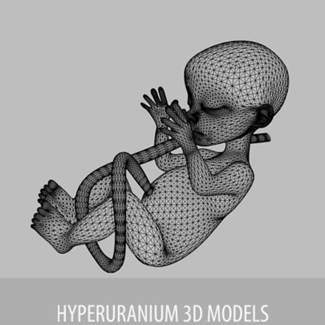 Fetus 3d Max