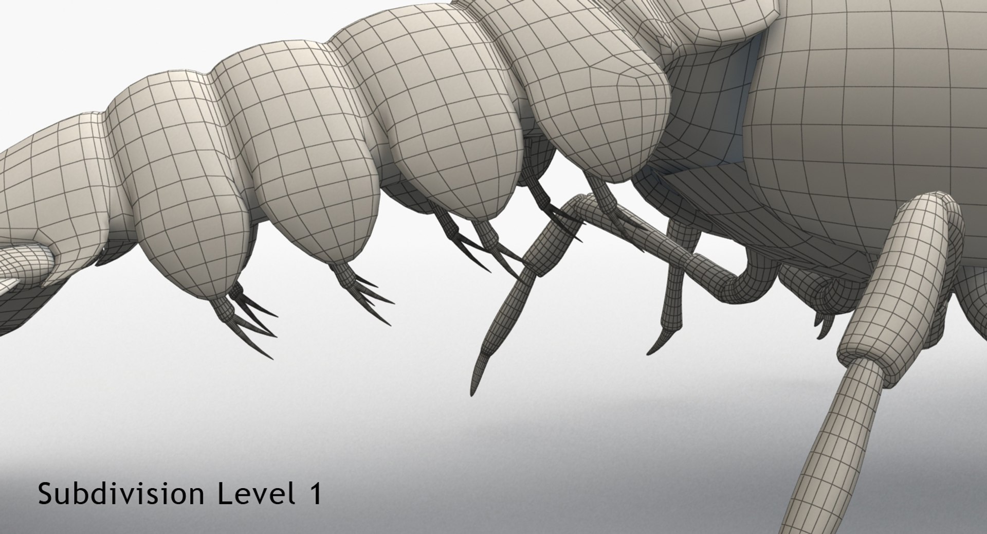 3d Model Crayfish Animation