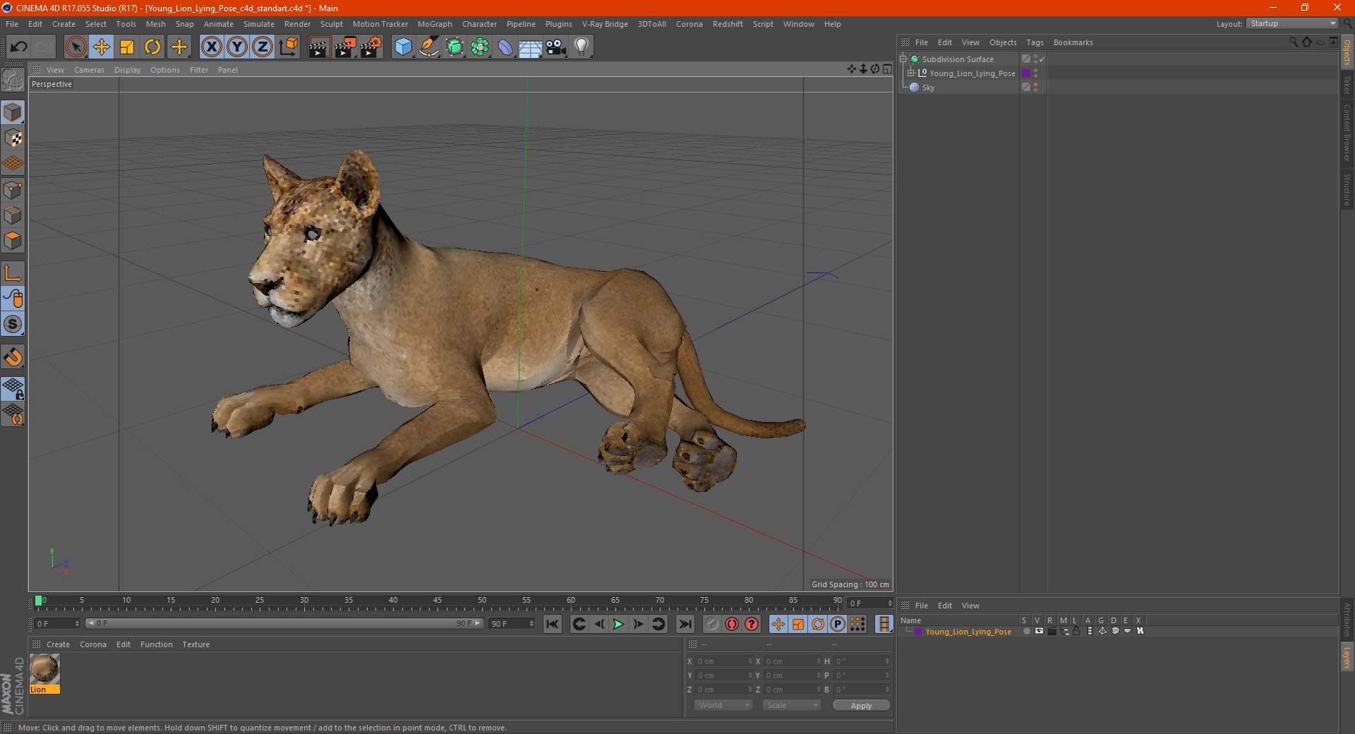 3D Young Lion Lying Pose Model - TurboSquid 1756304