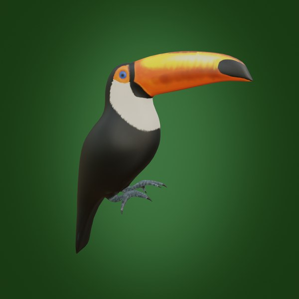 Toucan 3D Models for Download | TurboSquid