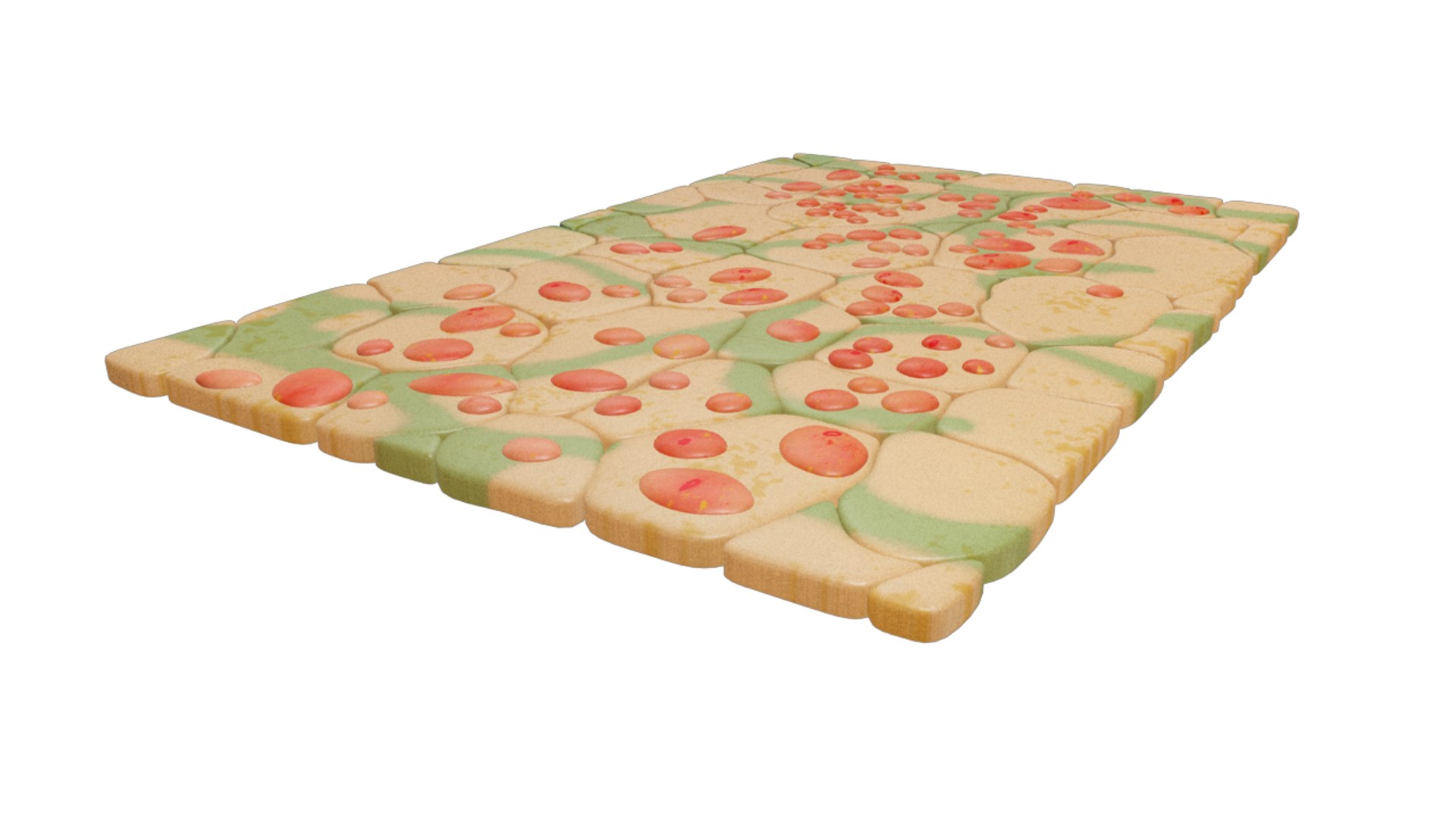 Leucoplasts Plastid Organelles Obj