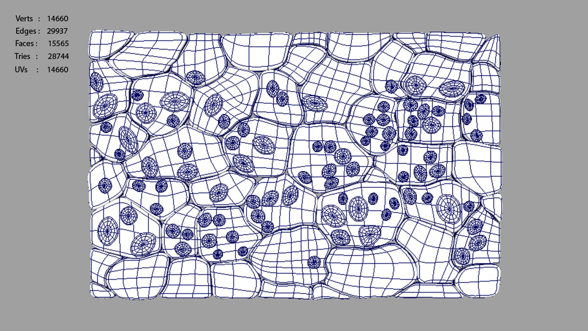 Leucoplasts Plastid Organelles Obj