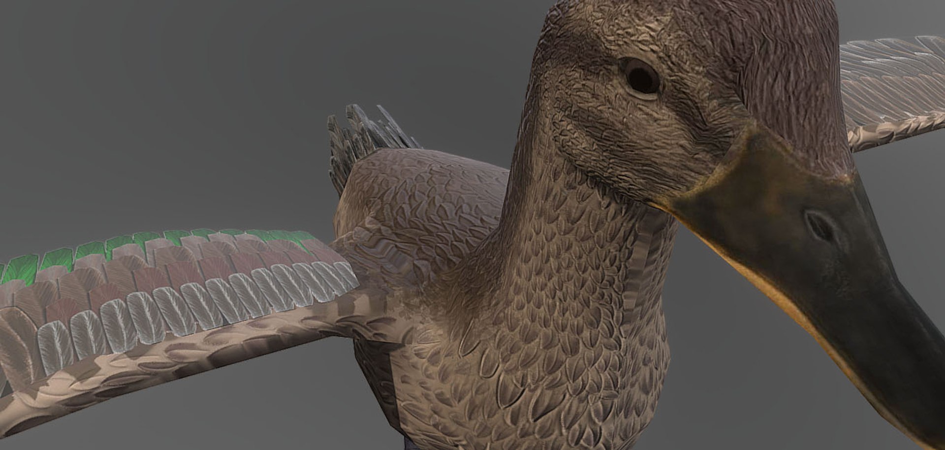 Duck 3D Model - TurboSquid 1190889
