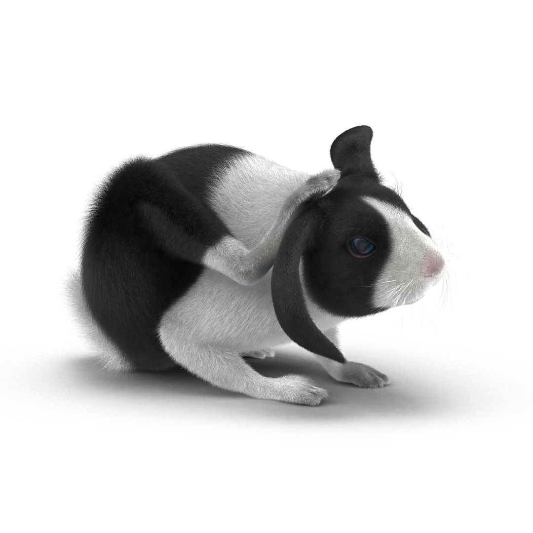 3d Model Black Rabbit Pose 4