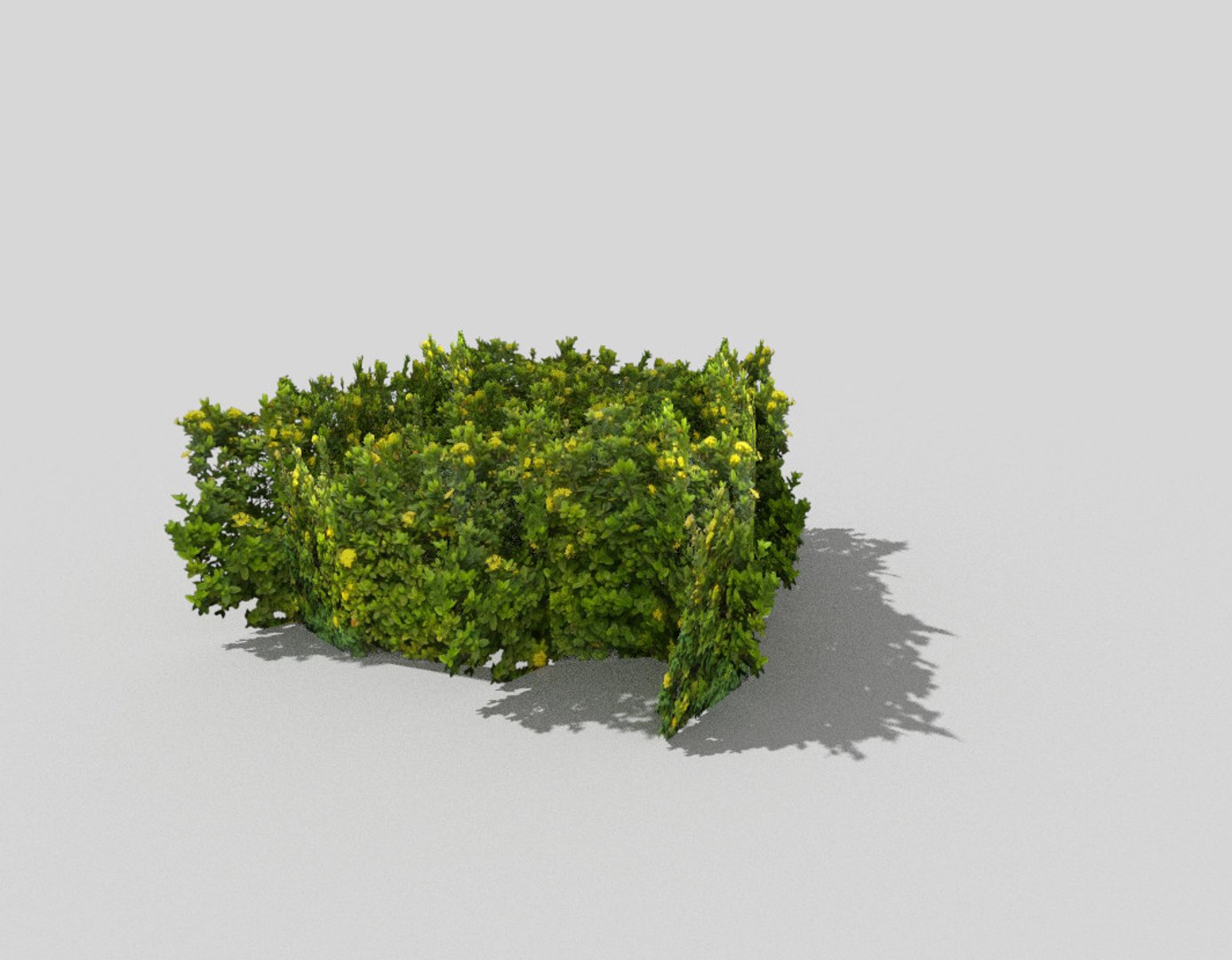 3d model of bush