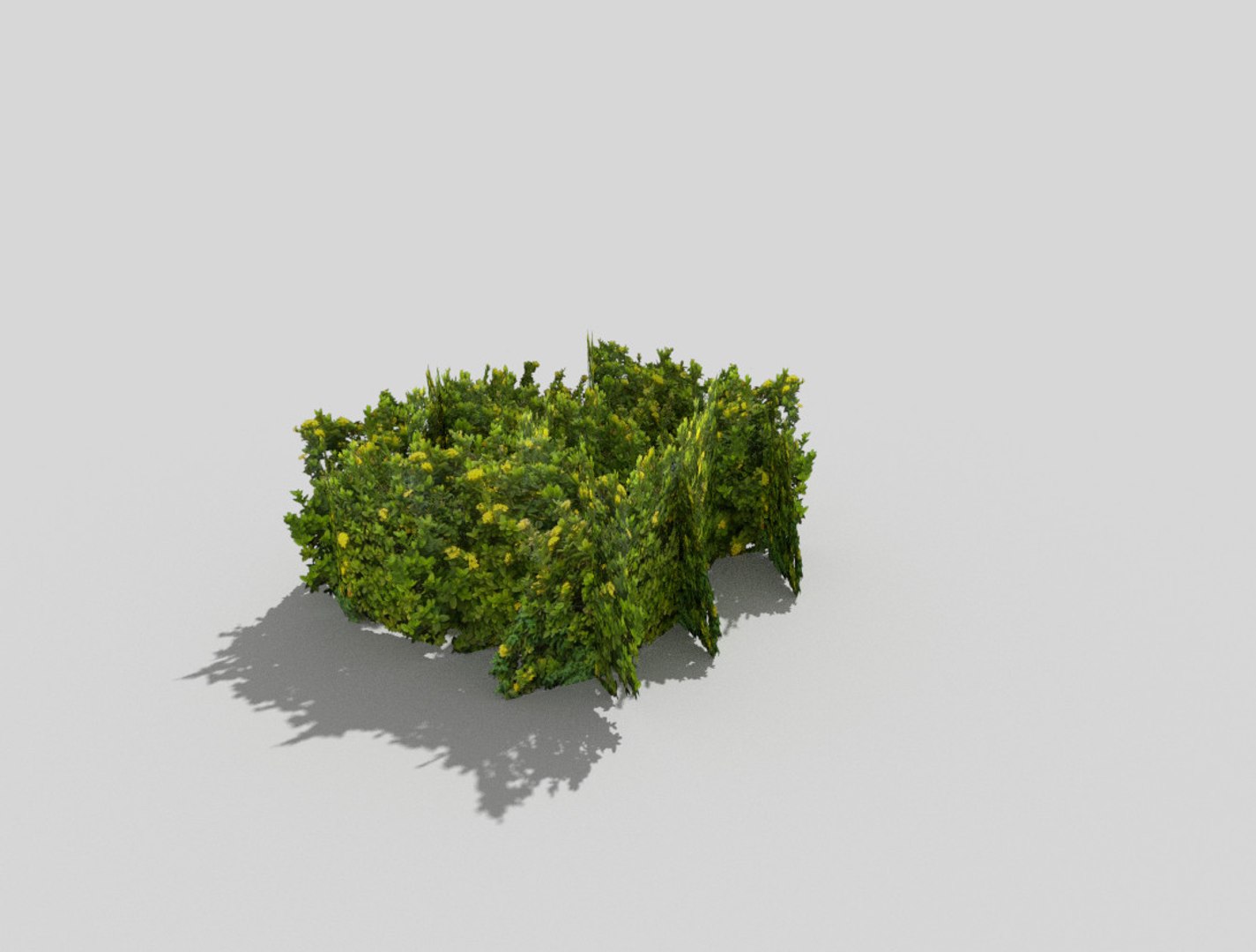 3d model of bush