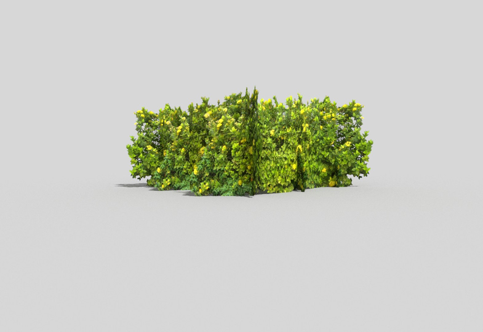 3d model of bush