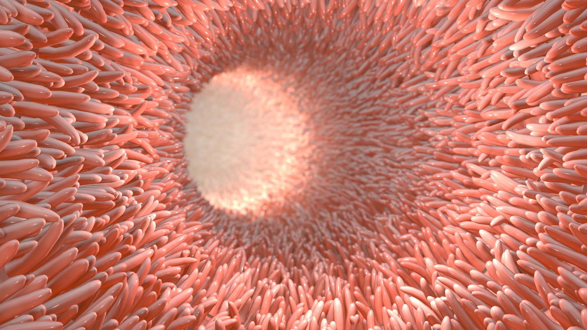 3D Model Intestinal Villi - TurboSquid 1831026