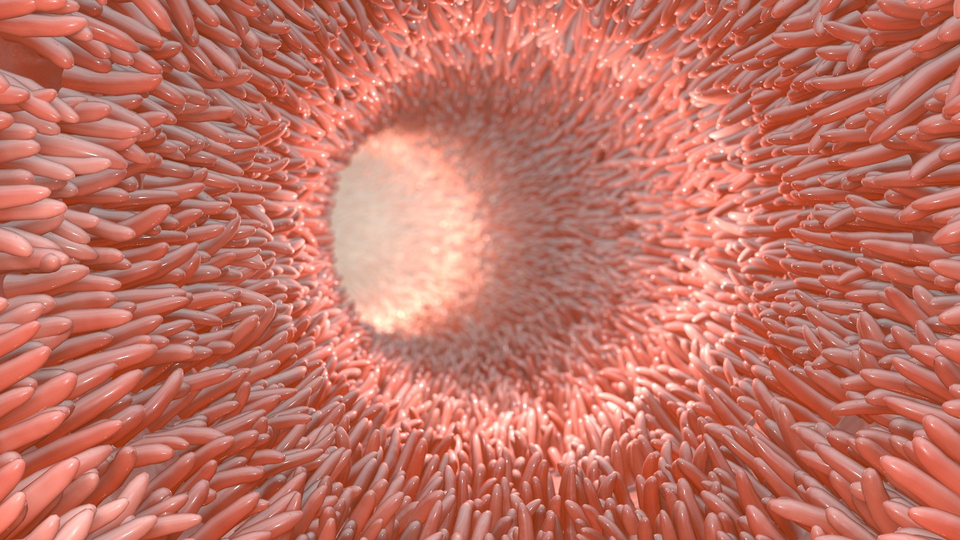 3D Model Intestinal Villi - TurboSquid 1831026