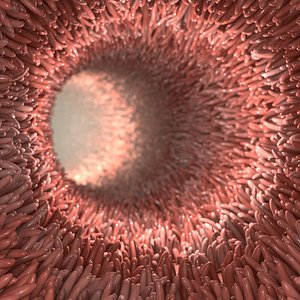 3D Villi Models | TurboSquid