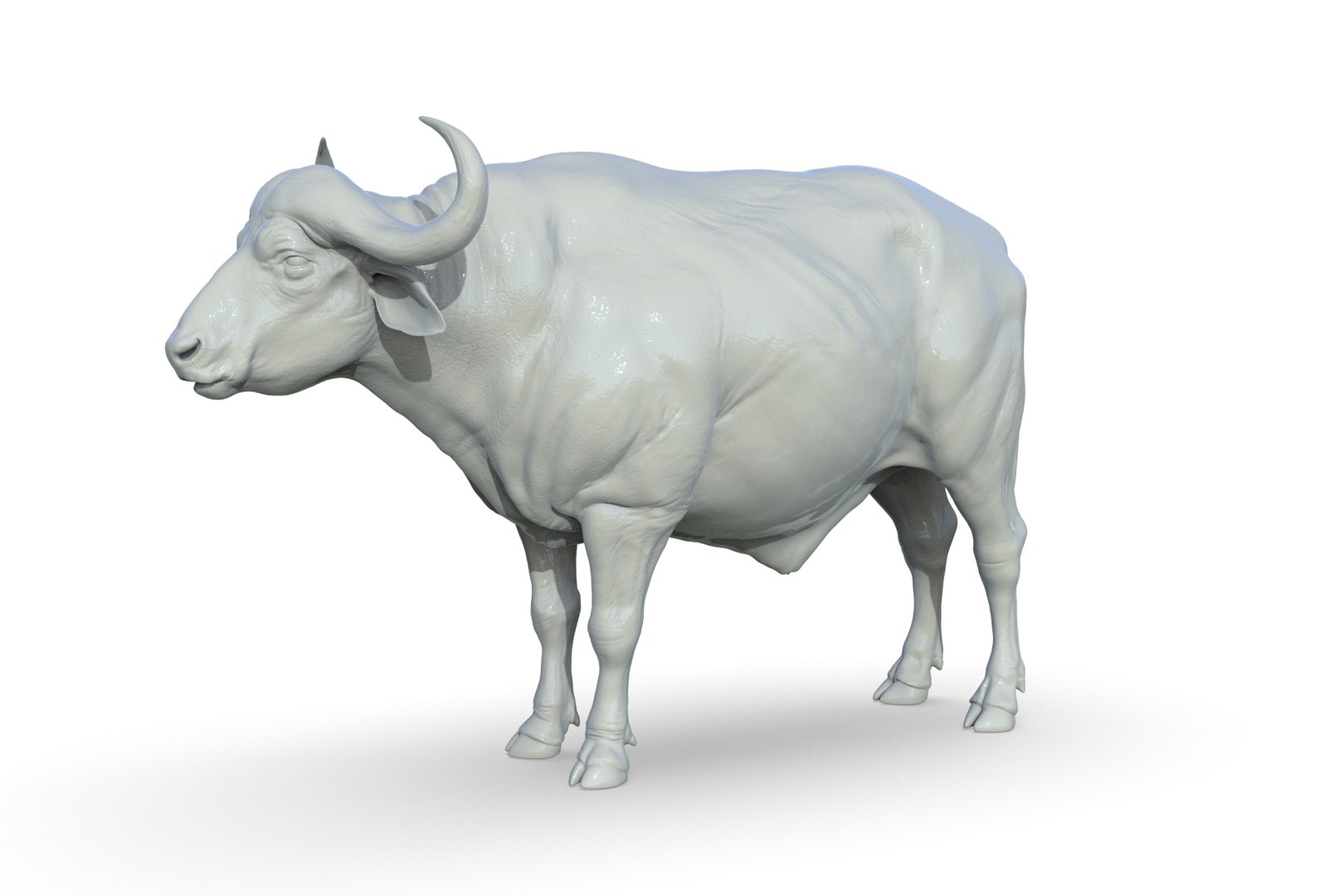 3D Buffalo - TurboSquid 2205894