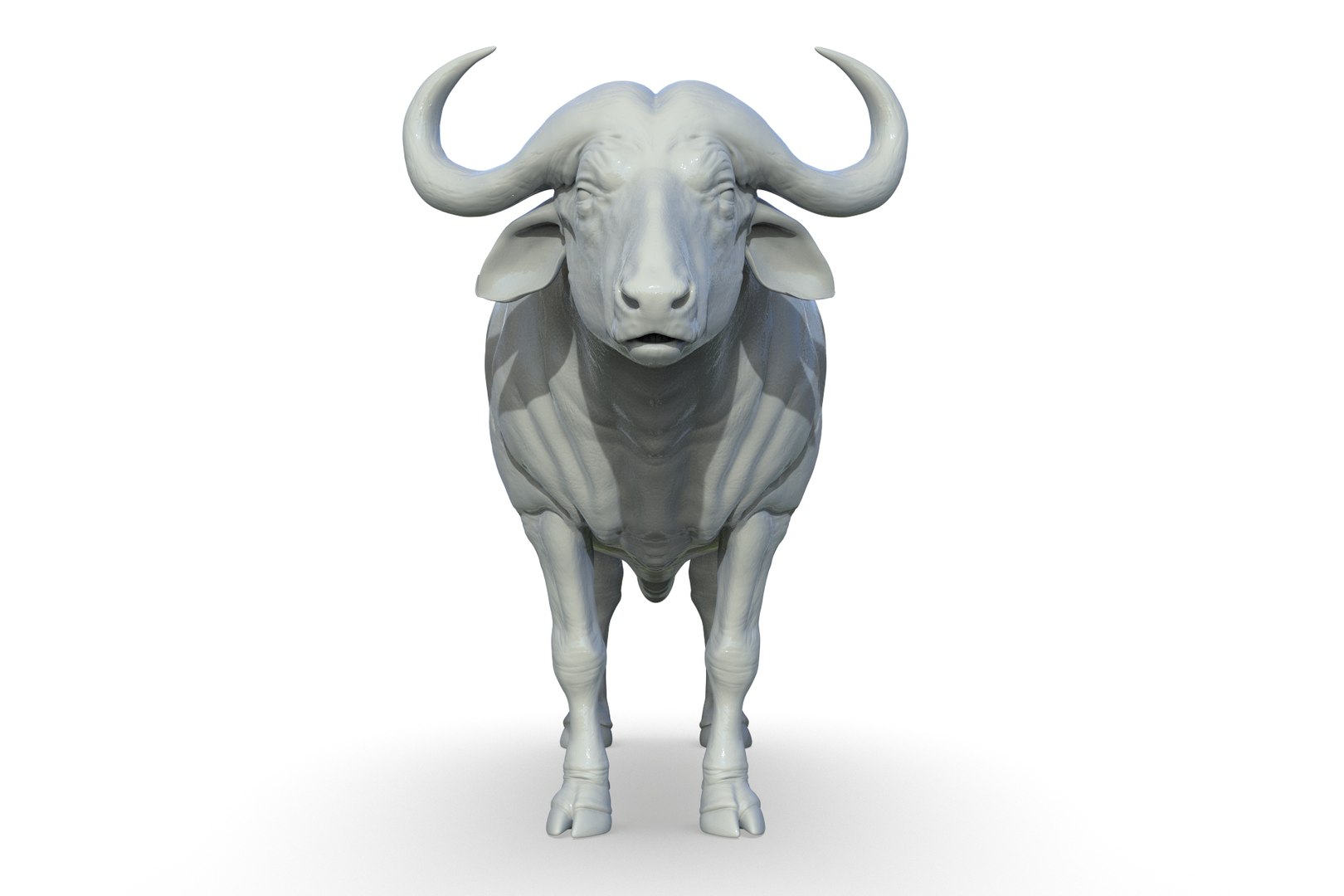 3D Buffalo - TurboSquid 2205894