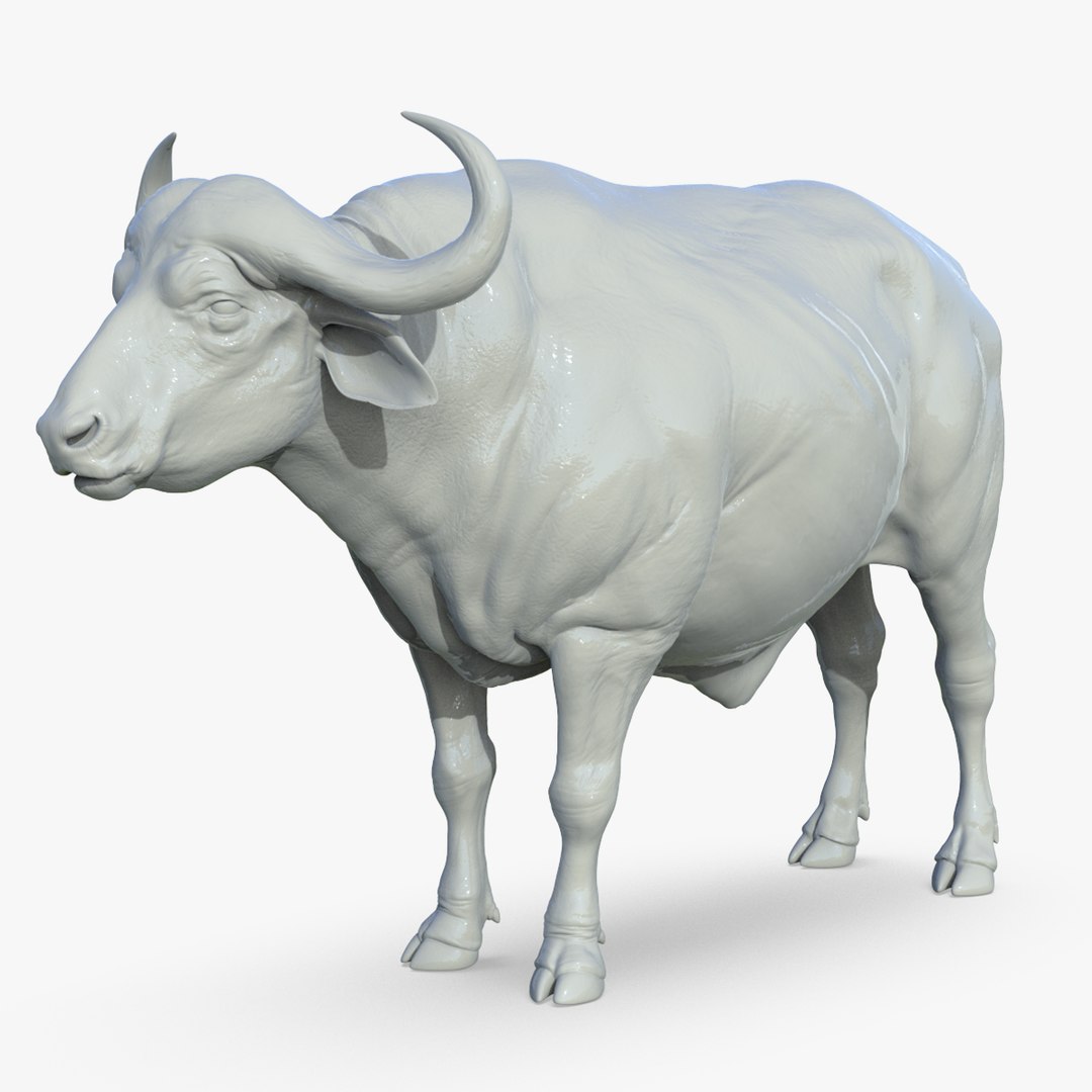3D Buffalo - TurboSquid 2205894