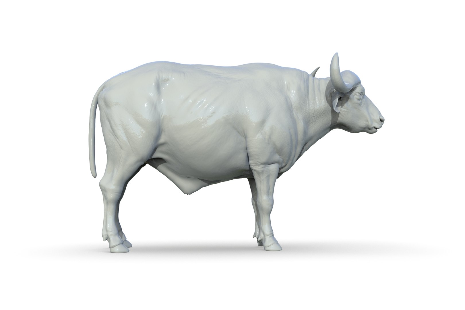 3D Buffalo - TurboSquid 2205894