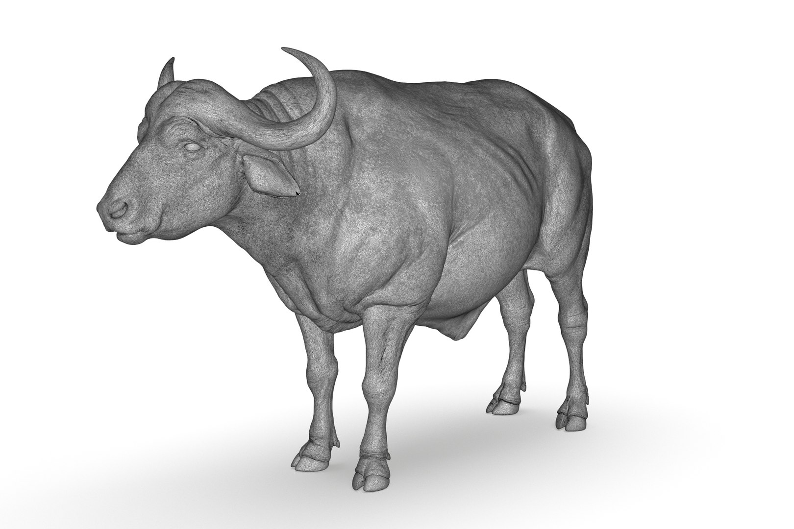 3D Buffalo - TurboSquid 2205894