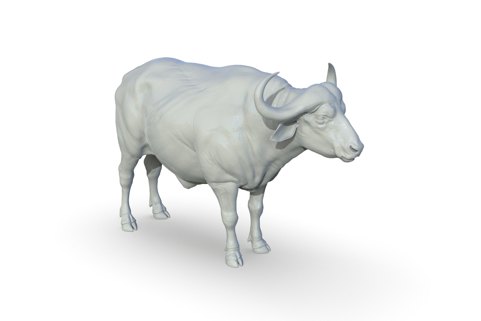 3D Buffalo - TurboSquid 2205894
