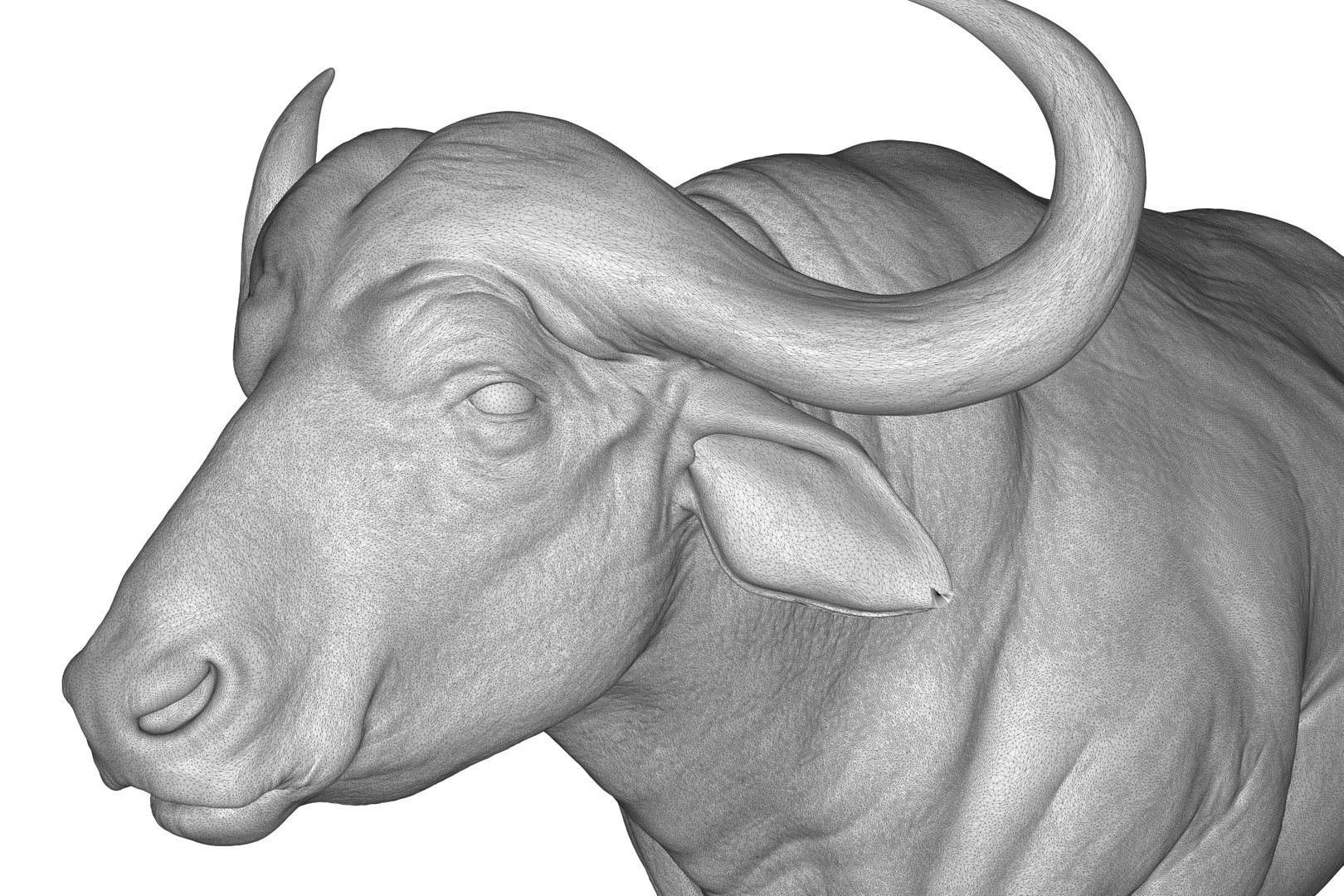 3D Buffalo - TurboSquid 2205894