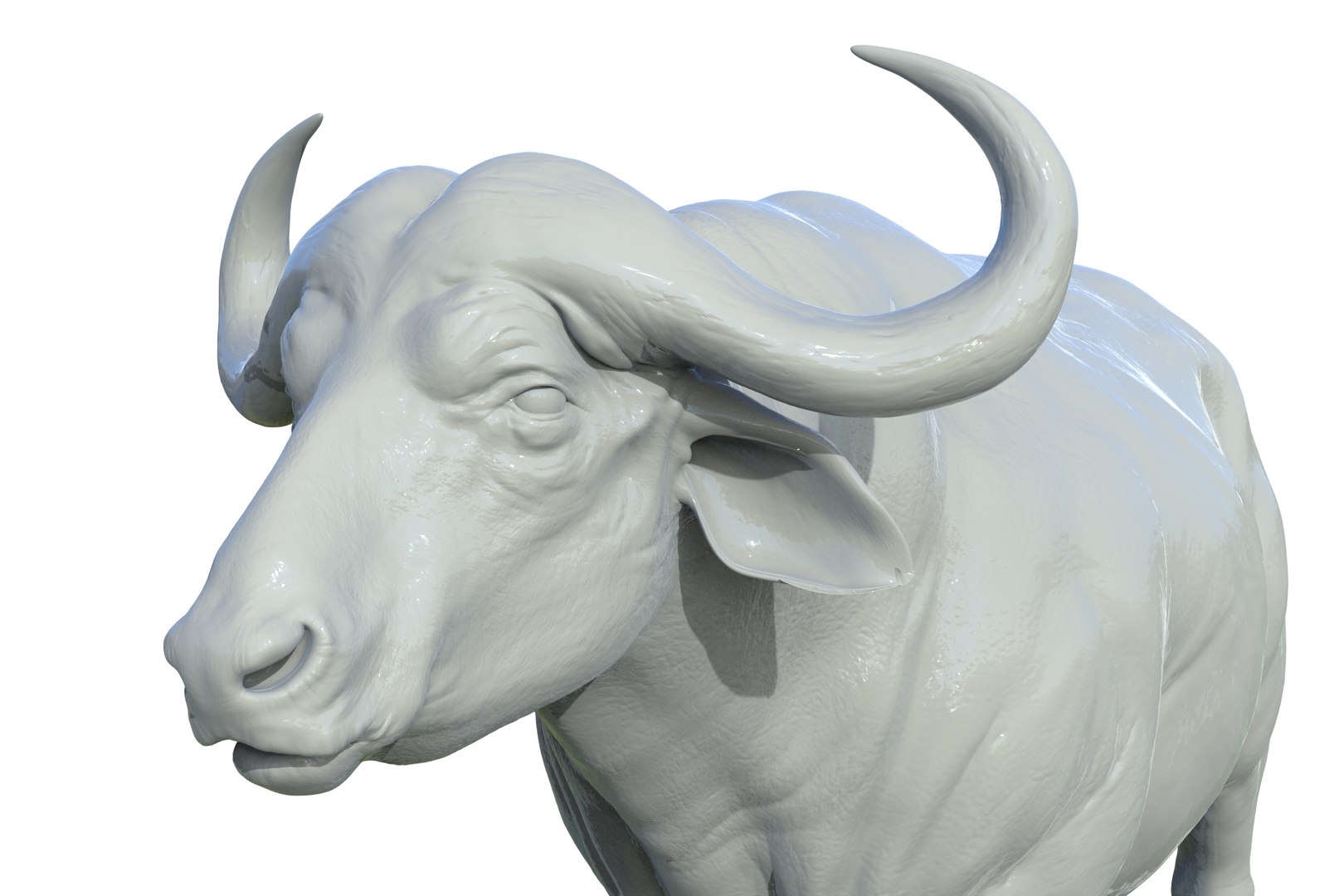 3D Buffalo - TurboSquid 2205894