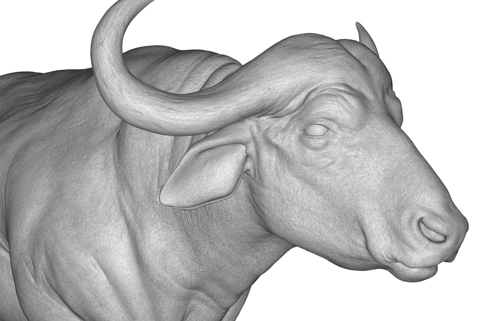 3D Buffalo - TurboSquid 2205894