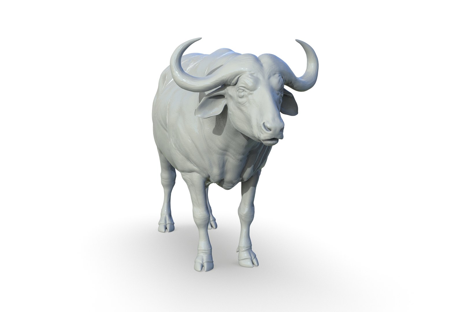 3D Buffalo - TurboSquid 2205894