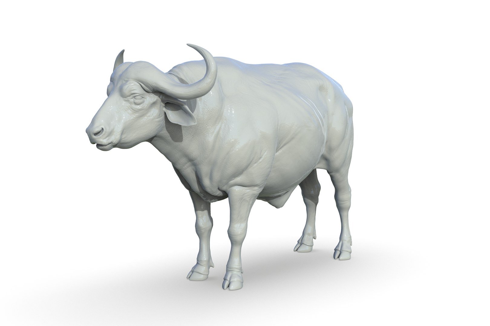 3D Buffalo - TurboSquid 2205894