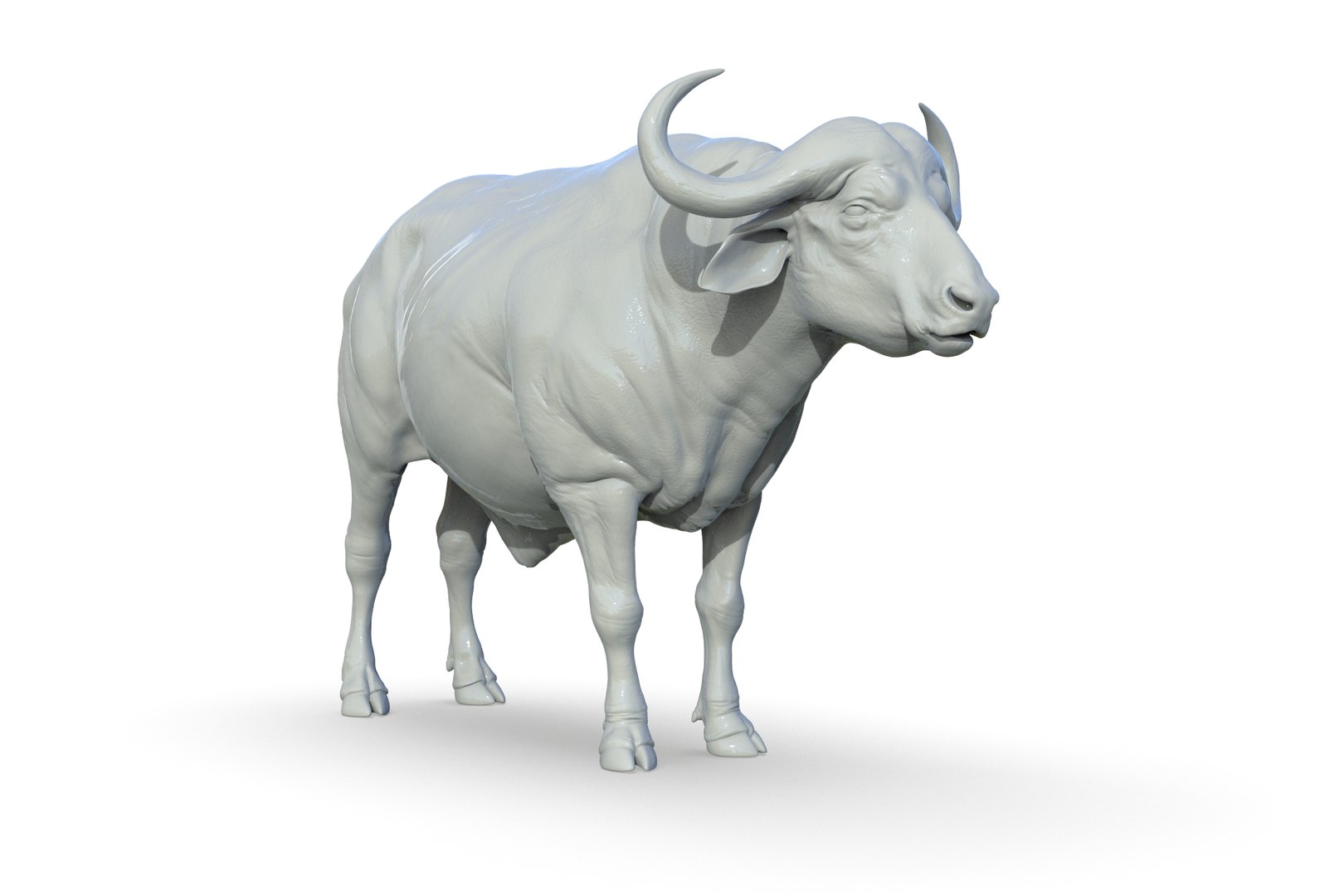 3D Buffalo - TurboSquid 2205894