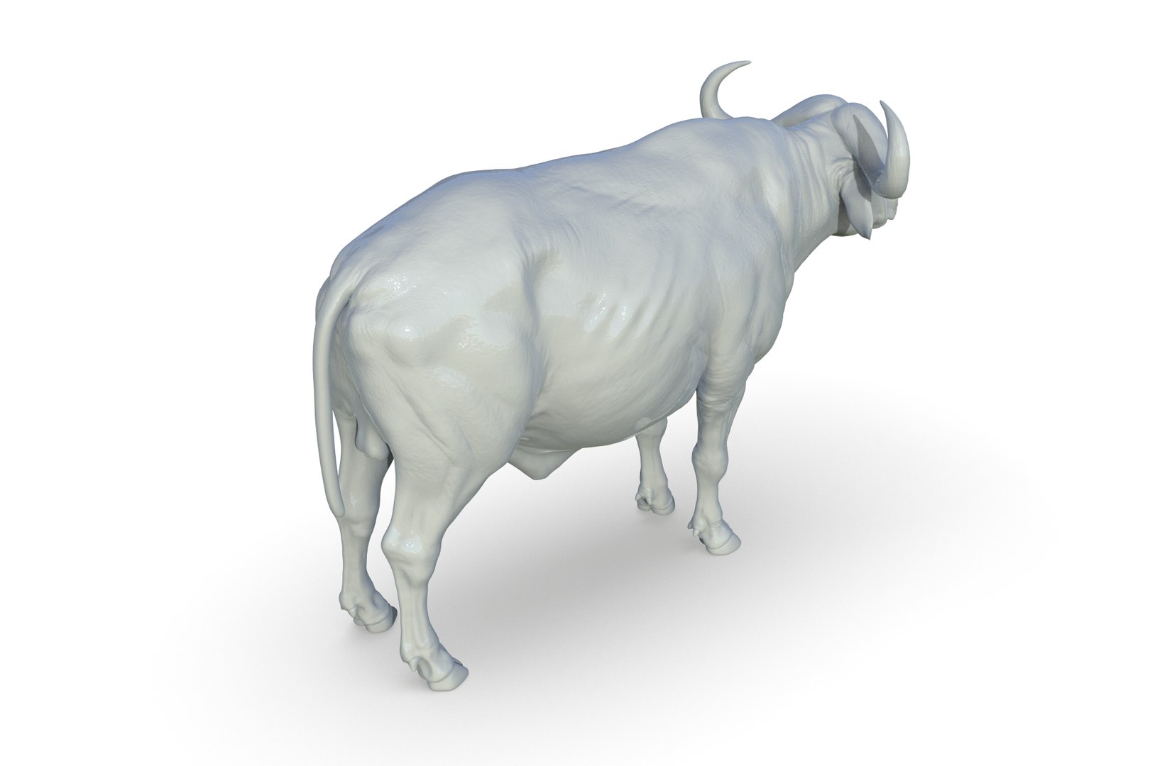 3D Buffalo - TurboSquid 2205894