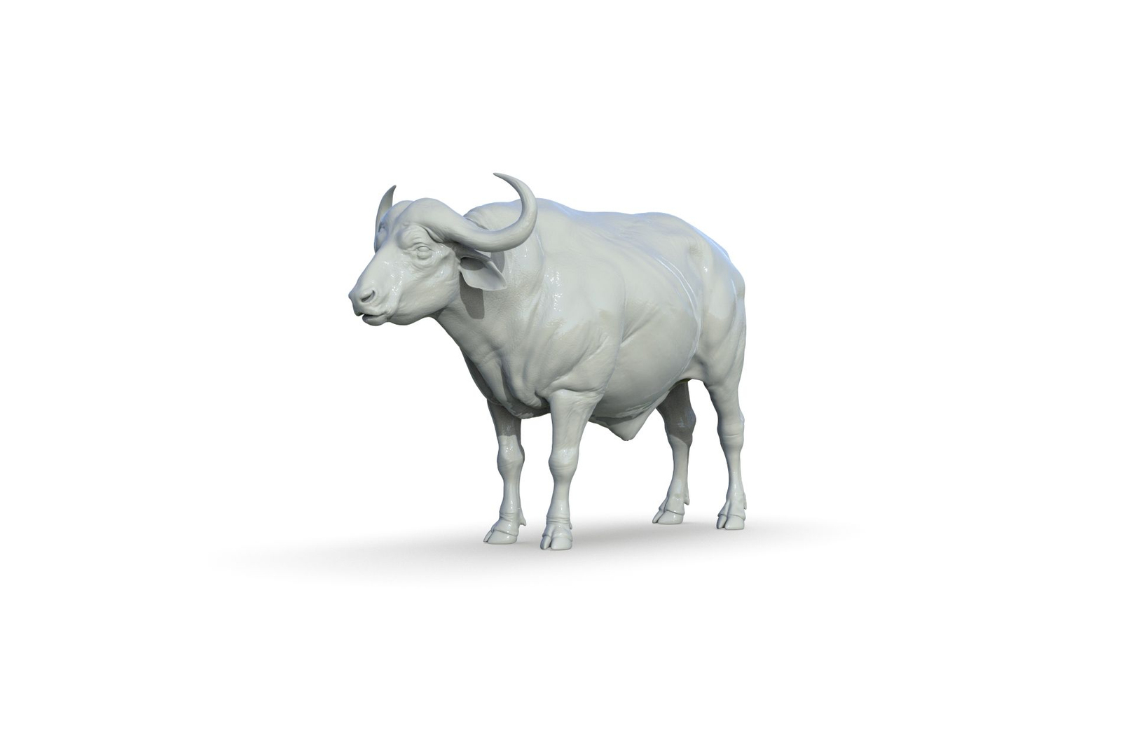 3D Buffalo - TurboSquid 2205894