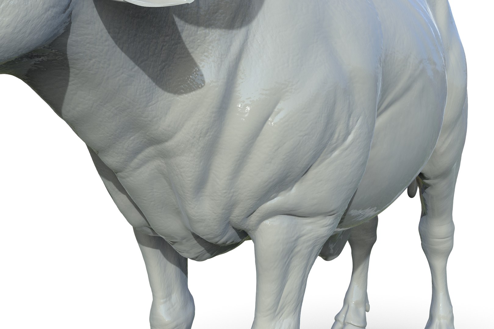 3D Buffalo - TurboSquid 2205894