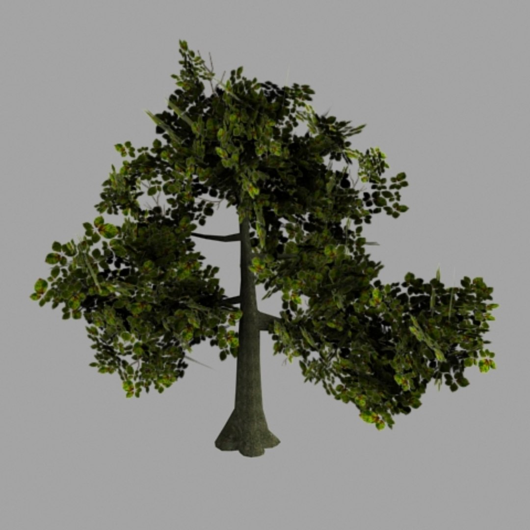 3d Model Oak Tree