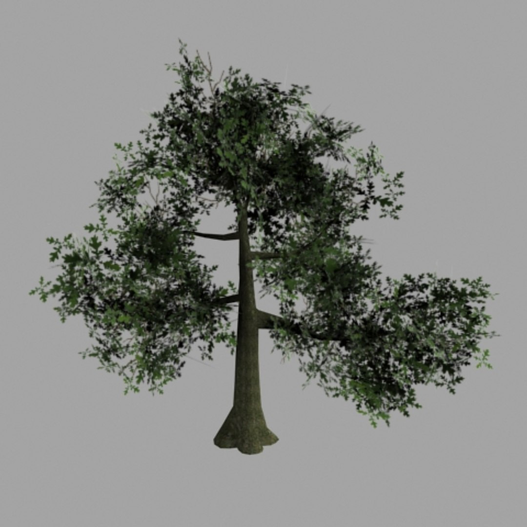3d Model Oak Tree