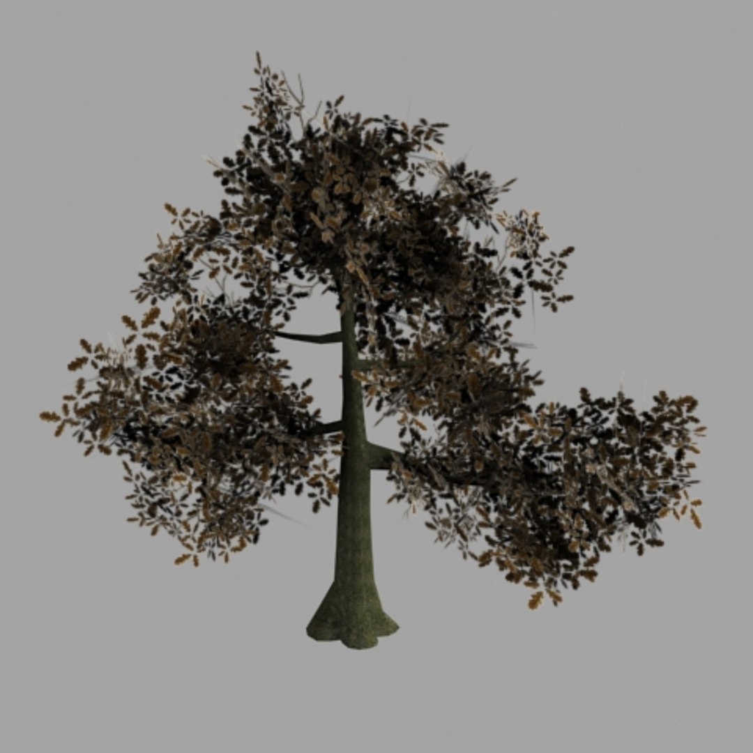 3d Model Oak Tree