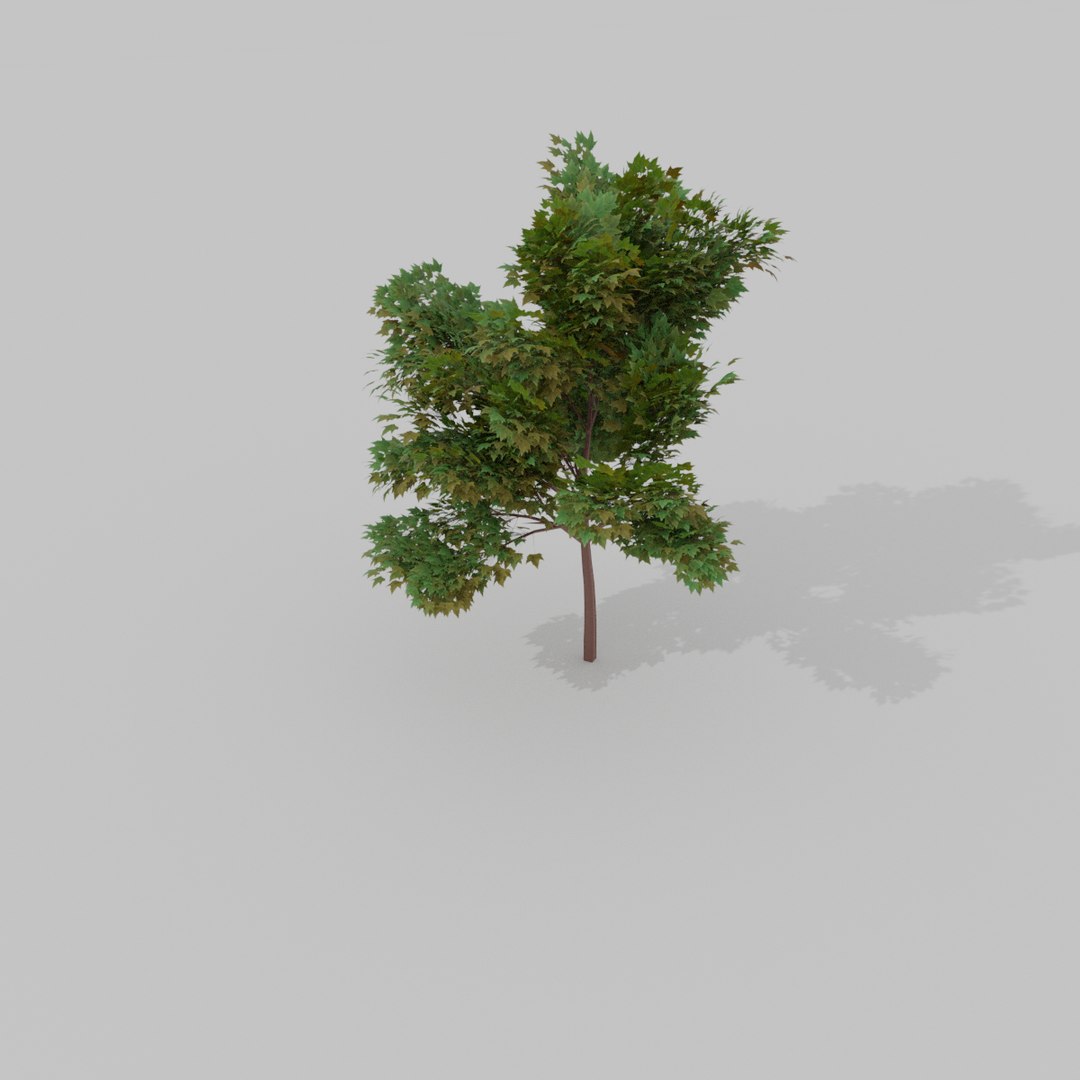 Tree Model - TurboSquid 1986896