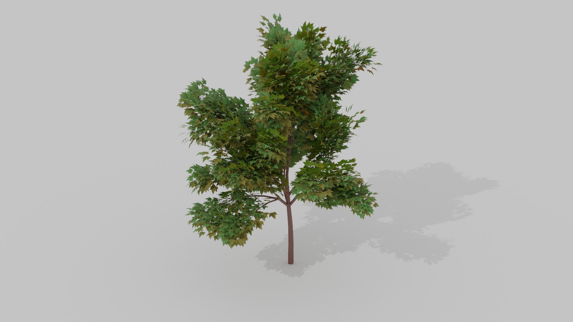 Tree Model - TurboSquid 1986896