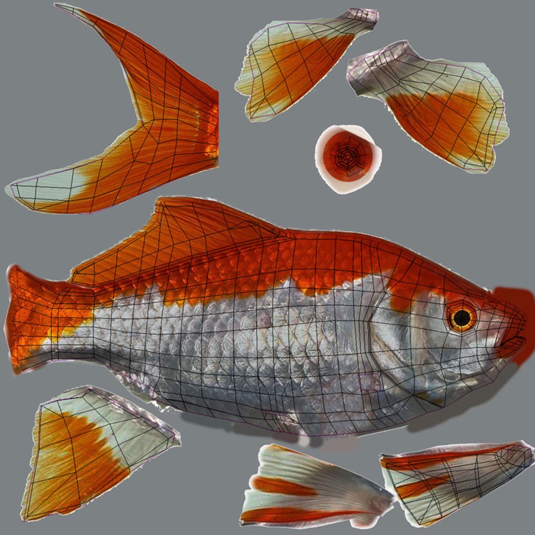 White Golden Fish 3ds